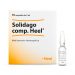 Solidago comp. Heel – Pharma Vida