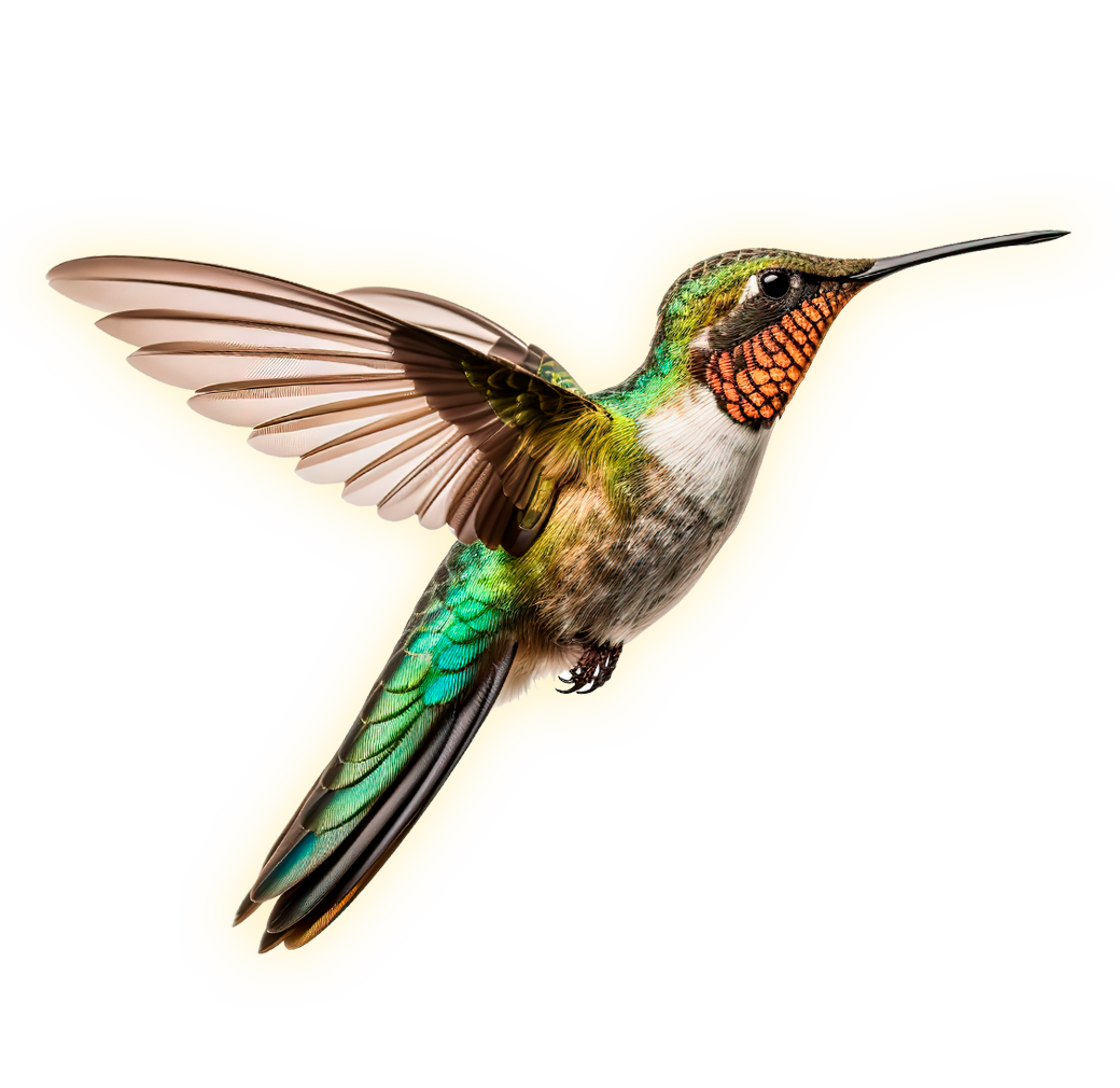 Pharma Vida – Farmacia Online